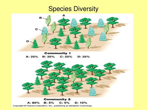 Index Species Examples At Craig Cox Blog