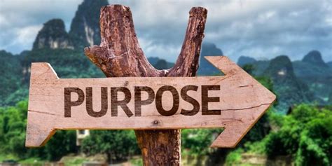 Purpose Coaching Pathways Solution Services