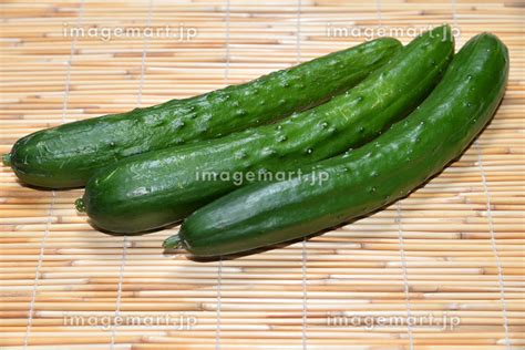 きゅうり 夏野菜の写真素材 255970243 イメージマート