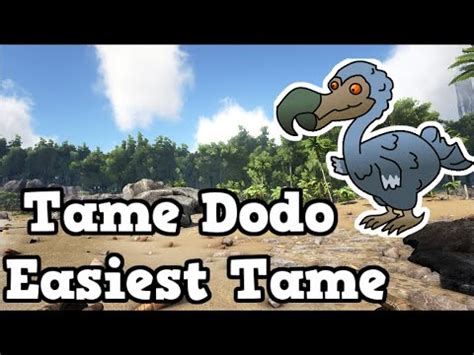 How To TAME DODO Ark Survival Evolved Easy Taming Ark YouTube