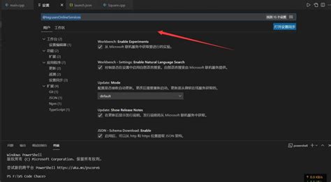 vscode怎么添加在线服务 vscode添加在线服务的方法 系统屋