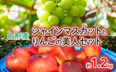 山形産 シャインマスカットとりんごの美人セット 秀品 計約12kg 【令和6年産先行予約】fu22 015 フルーツ くだもの 果物 山形