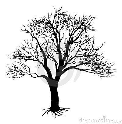 How To Draw A Leafless Tree Lu Moffitt