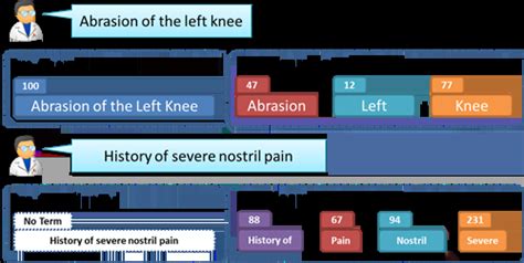 Informatics Lingo Pre And Post Coordinated Terms