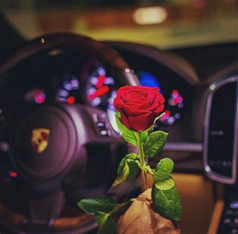 Pin On Stylish Dpz Love Flowers Rose Pic Red Roses Wallpaper