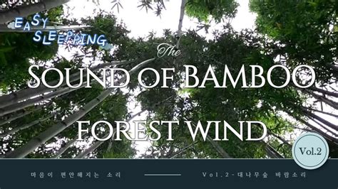 자연의 소리 대나무 숲 바람 소리the Sound Of Bamboo Forest Wind 1시간 Youtube