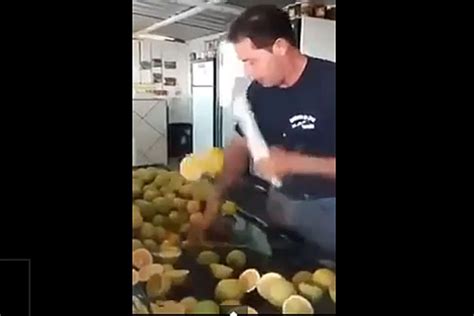 Lemon Ninja Cuts Fruit Like A Man On A Mission