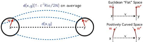 Positive Ricci Curvature Is Reflected By The Characteristic That For