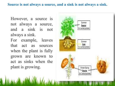 Source And Sink Relationship Pptx Pptx