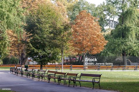 가장자리를 따라 벤치가 줄지어 있는 공원의 가을 자연 전망 0명에 대한 스톡 사진 및 기타 이미지 0명 가을 계절 Istock