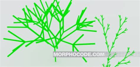 rabbit 0 2 preview 2d 3d lsystems turtle interpretation morphocode