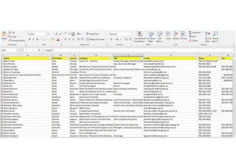Do Data Entry Ms Excel Ms Word Listen Design Conversion By Saisree