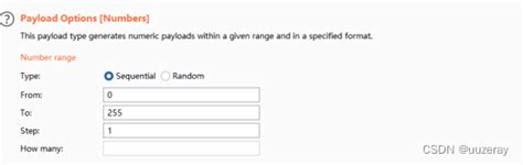 【web】协议相关例题wpqsnctf F14g Csdn博客