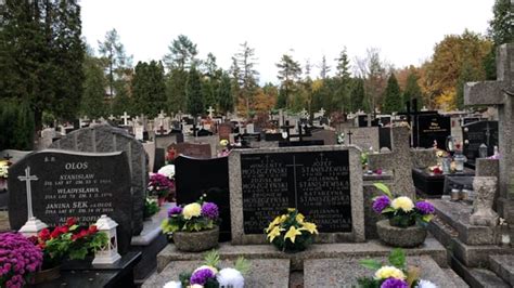 Cementerio Tumba Funeral Free Video On Pixabay Pixabay