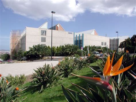 Grado En Ciencias Del Mar Trabajo De Fin De Grado 2024 2025