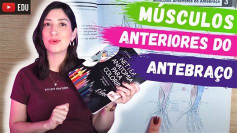 MÚSCULOS anteriores do ANTEBRAÇO Anatomia para colorir YouTube