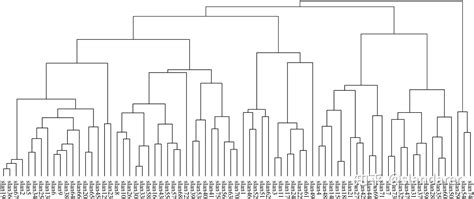 Matlab 超多样式聚类分析树状图任你选择~~ 知乎