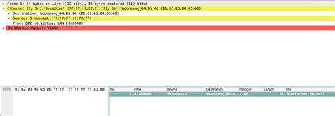 Tu的雜七雜八筆記本 Libpcap Send A Frame 13