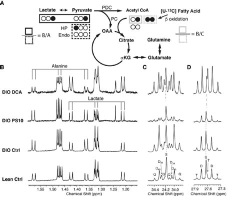 The Proton Nmr Spectrum Of Alanine Lactate And 13 C Labeling Patterns Download Scientific