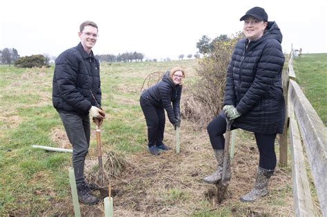 North East Community Forest Happy National Hedgerow Week Within The