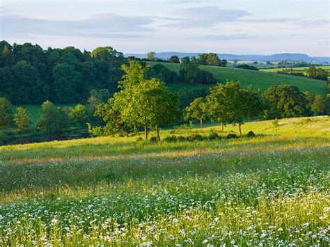 Creating New Nature Markets That Work For Farmers The Opportunity Of