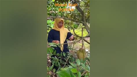 Menali Durian Youtube