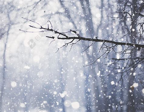 唯美雪景背景 包站长