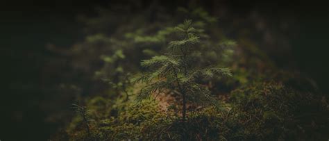 Leverage Agile Frameworks To Provide A Robust Synopsis Fundación Afluentes