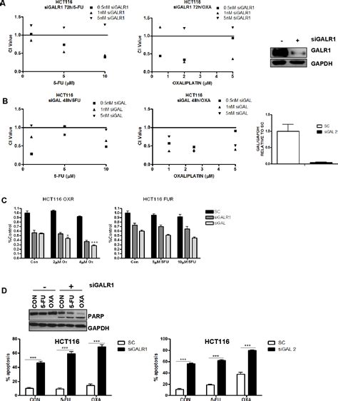 Figure 1 From Identification Of Galanin And Its Receptor Galr1 As Novel