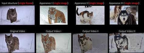 [cvpr2022]风格迁移：自然界中的无中生有，毕设这不就有了？ 知乎
