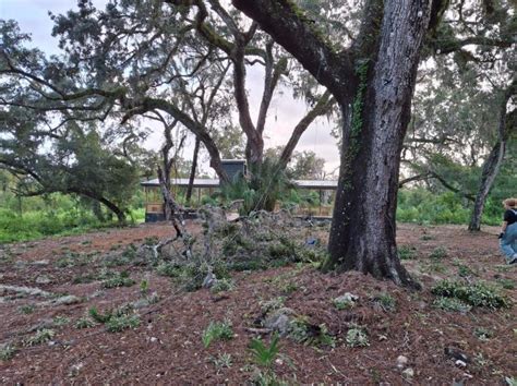 Cabotcitrusfarms Hurricanehelene Golfcommunity Resilienttogether