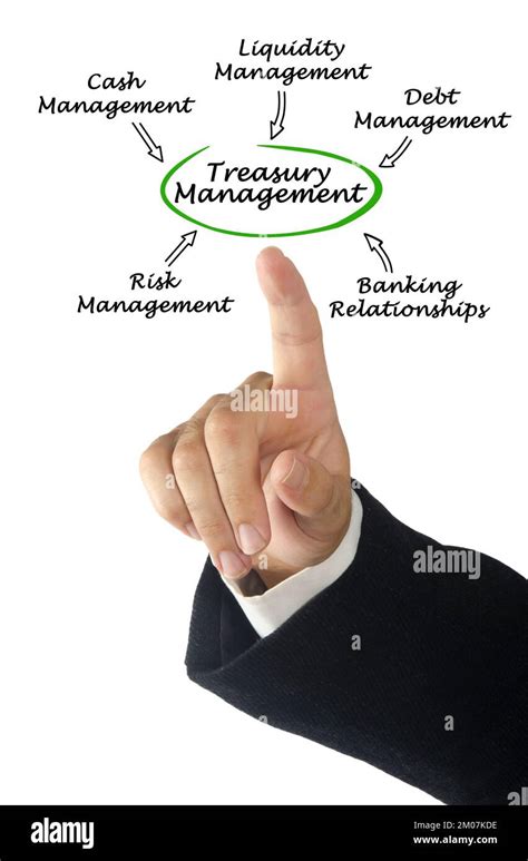 Five Components Of Treasury Management Stock Photo Alamy