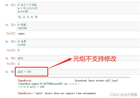 【学习笔记】13、标准数据类型—元组 sap的元组 csdn博客