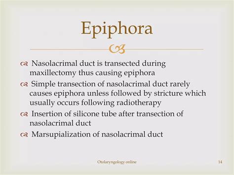 Maxillectomy A Review Pptx