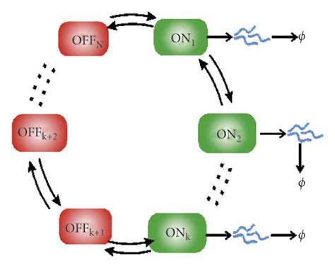 A Schematic Diagram For A Biological Prototype Of Gene Expression Download Scientific