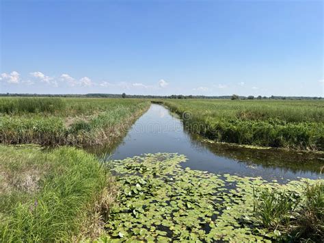 Canales De Agua Llanuras Aluviales Y Vegetación De Humedales En El