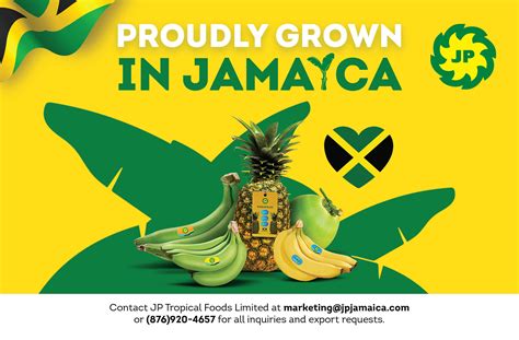 Expo Jamaica 2023 Magazine By The Jmea Issuu
