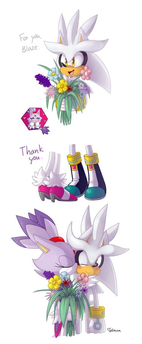 Pin On Silver Y Blaze