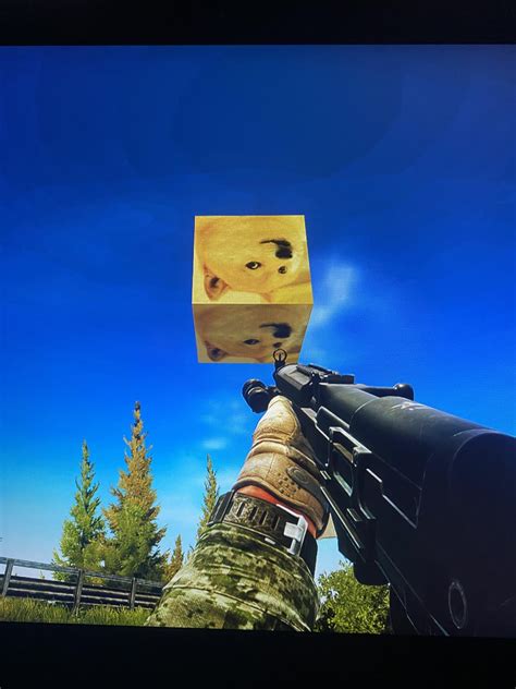 Wtf Rtarkov