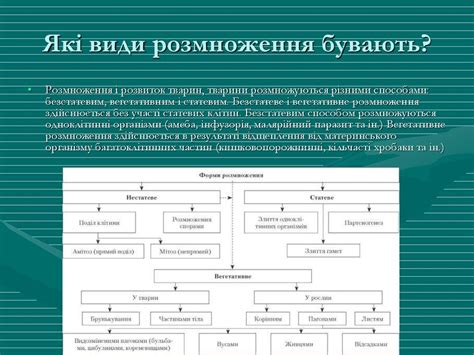 Розвиток і розмноження тварин Online Presentation