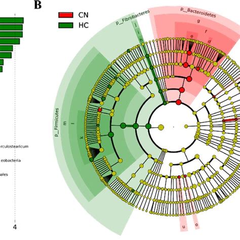 Taxonomic Differences Of Fecal Microbiota Between Cn And Hc Groups