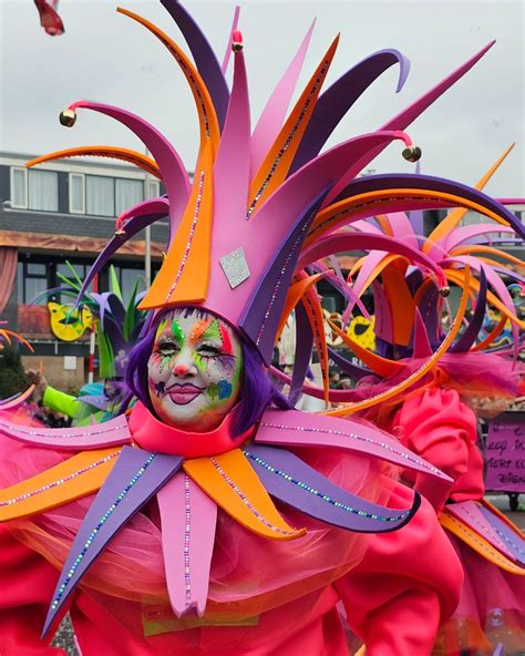 In Beeld Grote Sallandse Carnavalsoptocht In Raalte Oost