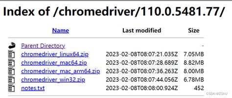 【如何学习python自动化测试】—— 浏览器驱动的安装 以及 如何更新driverpython浏览器驱动 Csdn博客