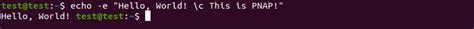 How To Use Echo Command In Linux With Examples