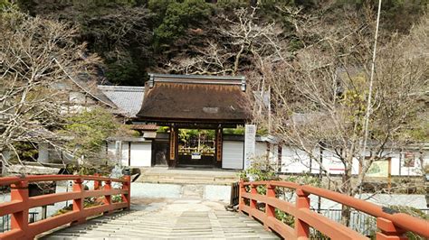 奈良室生寺近く老舗の橋本屋でランチしたレポ ぽこブログ