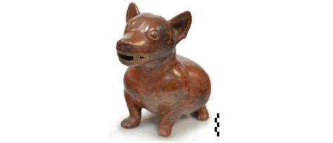 Tlalchichi La Famosa Figura De Cerámica De Un Perrito Prehispánico