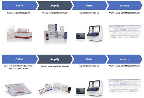Best Practices For Cell Line Authentication