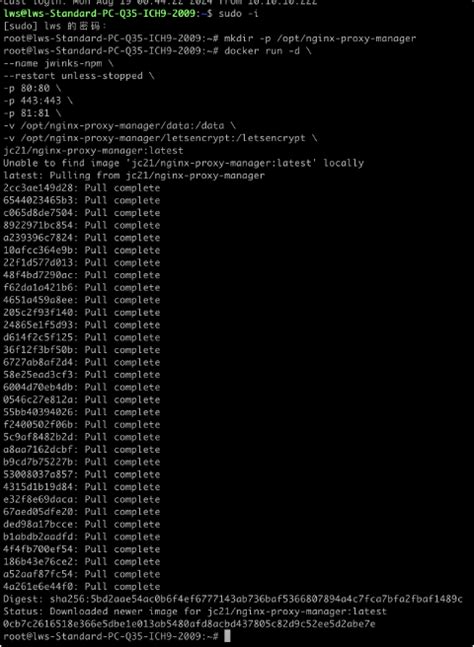 轻松管理反向代理：nginx Proxy Manager 详解