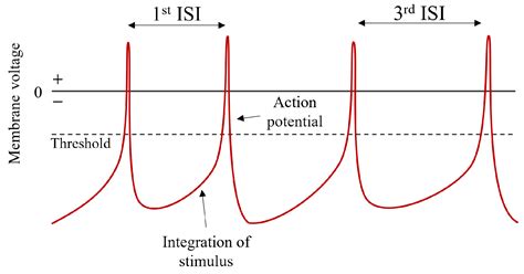 Fractal Fract Free Full Text Field Programmable Analog Array Implementation Of Neuromorphic
