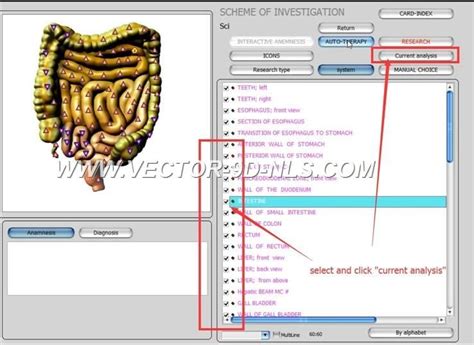 How To Get The Most Out Of Your Next Original 9d 8d Nls Health Analyzer 8d Nls 8d Lris 8d
